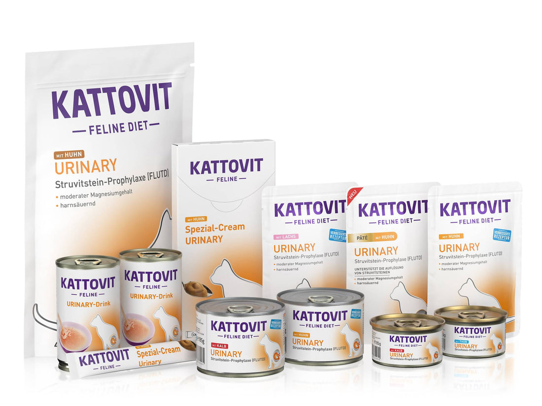 KATTOVIT - Special food for cats and premium food