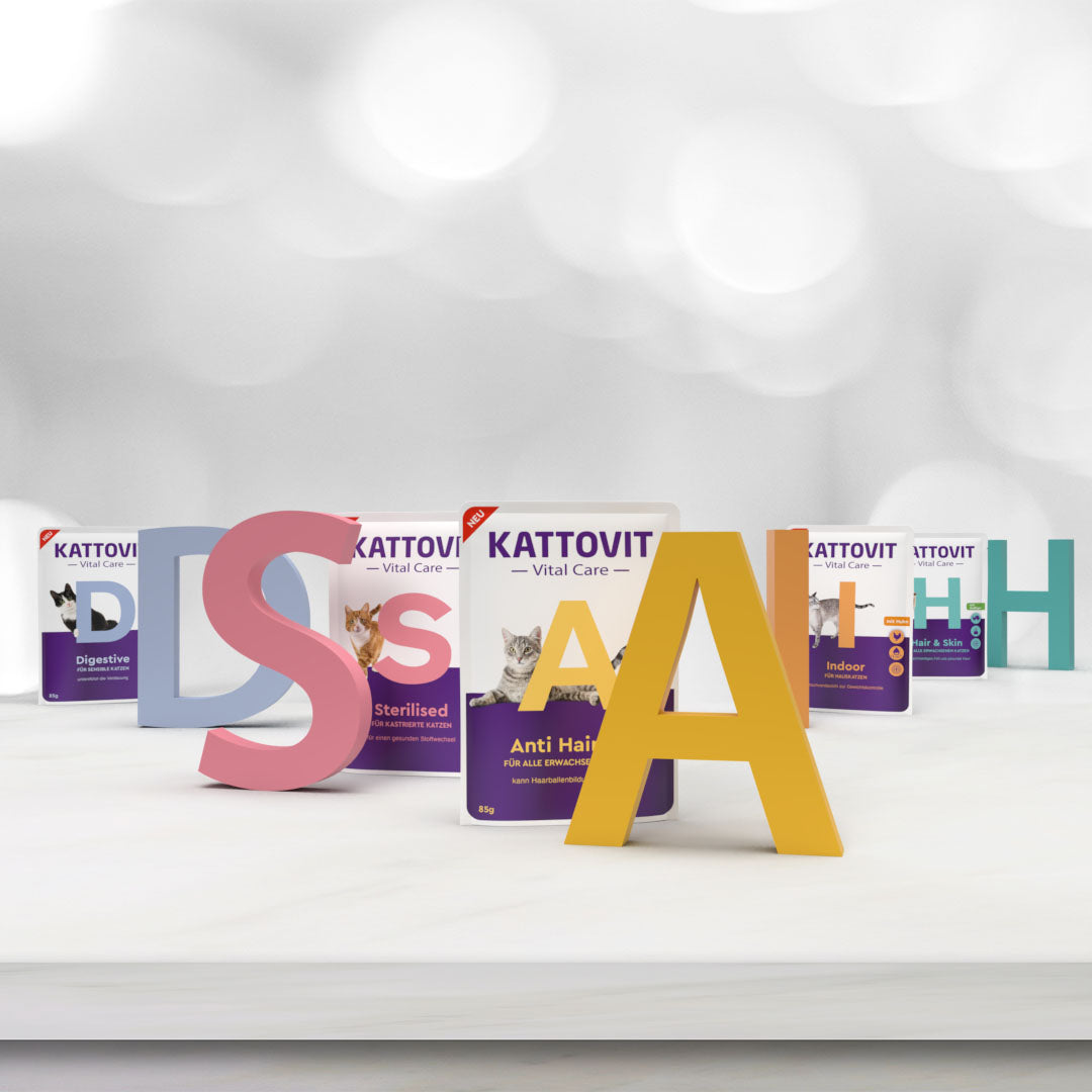 KATTOVIT - Special food for cats and premium food