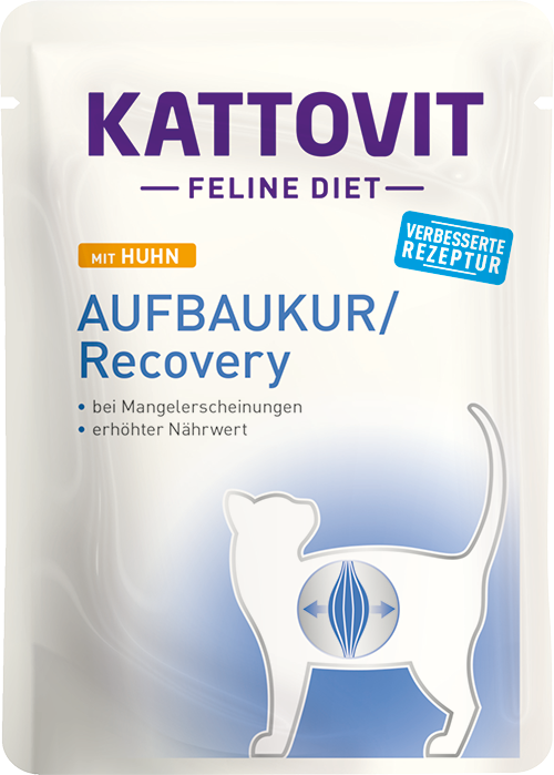 KATTOVIT - Special food for cats and premium food